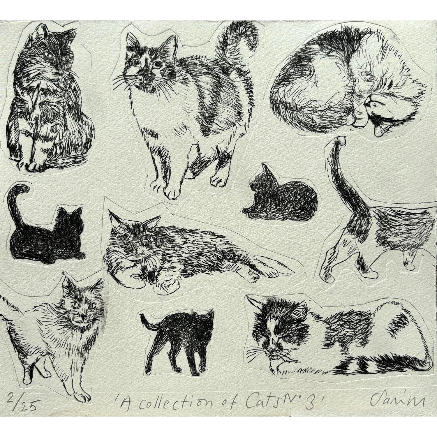 Collection of Cats no 3 – Sam Marshall Art