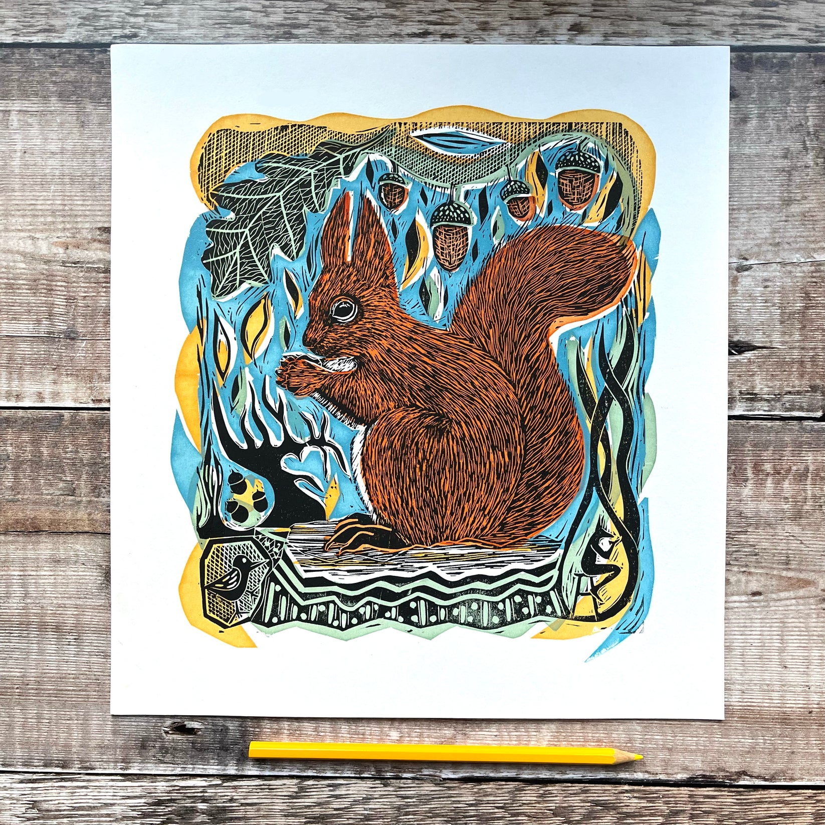 Red Squirrel – Sam Marshall Art